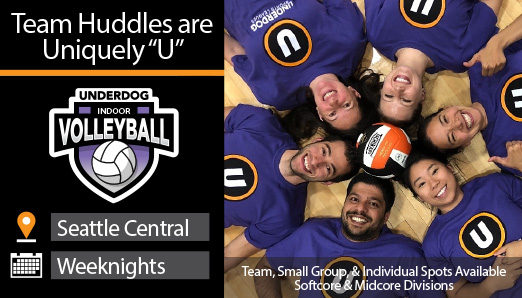 Volleyball - Seattle Adult Volleyball Leagues