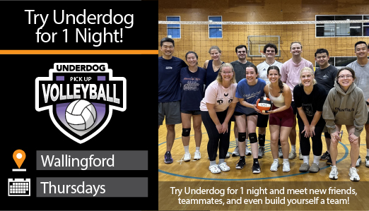 Volleyball - Seattle Adult Volleyball Leagues